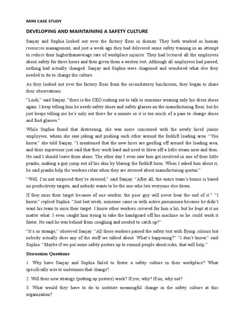 Mini Case Study PDF