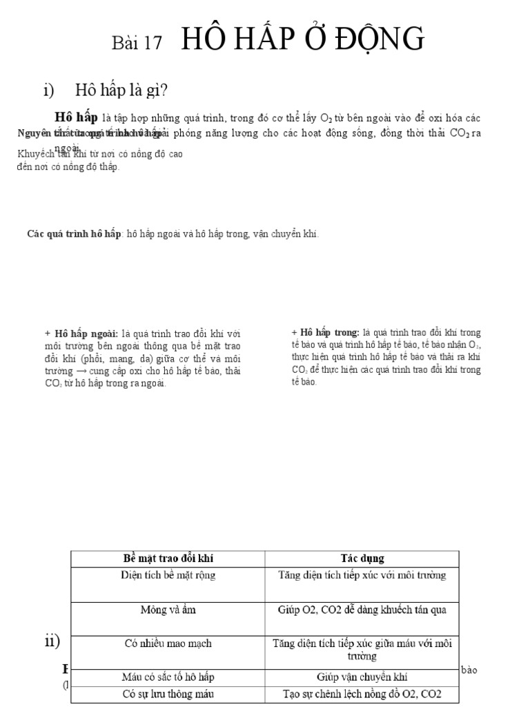 Bai17 Ho Hap o Dong Vat | PDF