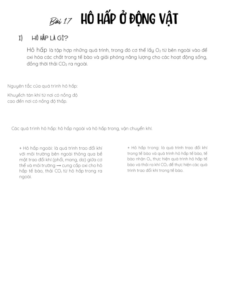 Bai17 Ho Hap o Dong Vat | PDF