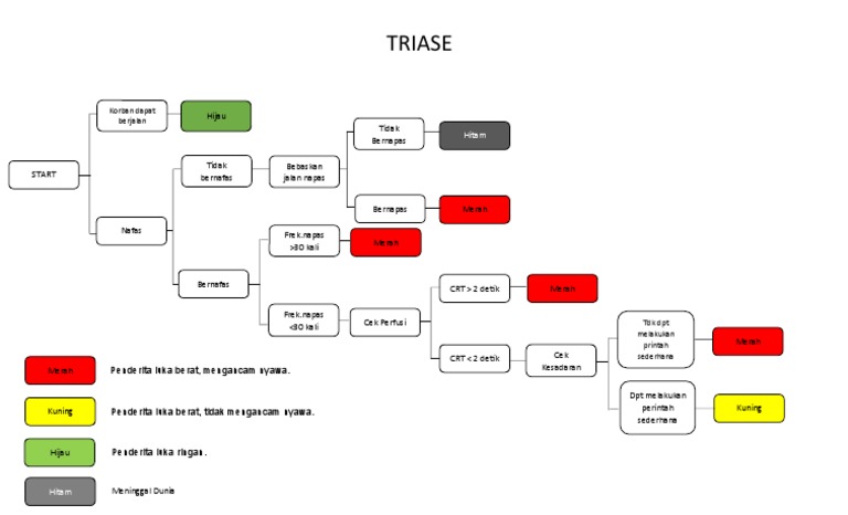 Algoritma Triase Pdf