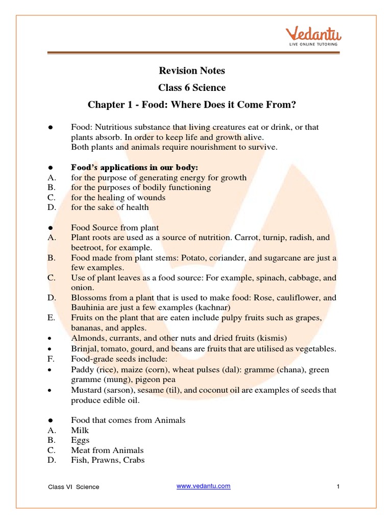 Class 6 Science: Food Sources Explained | PDF | Foods | Fruit