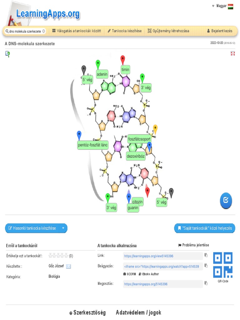 A DNS-molekula Szerkezete | PDF