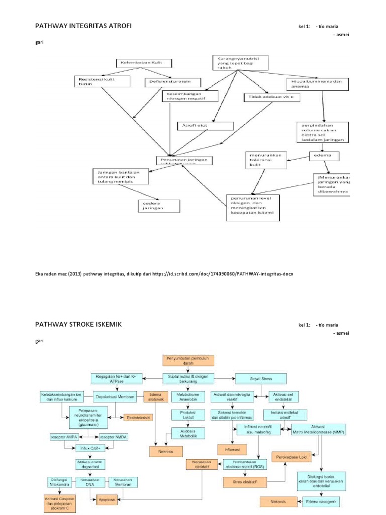 PATHWAY (Atrofi, Iskemik, Thrombosis, Emboli, Hipertrofi) | PDF