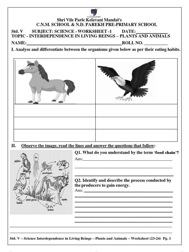 Interdependence in living beings - Plants and animals worksheet 2023-24 ...