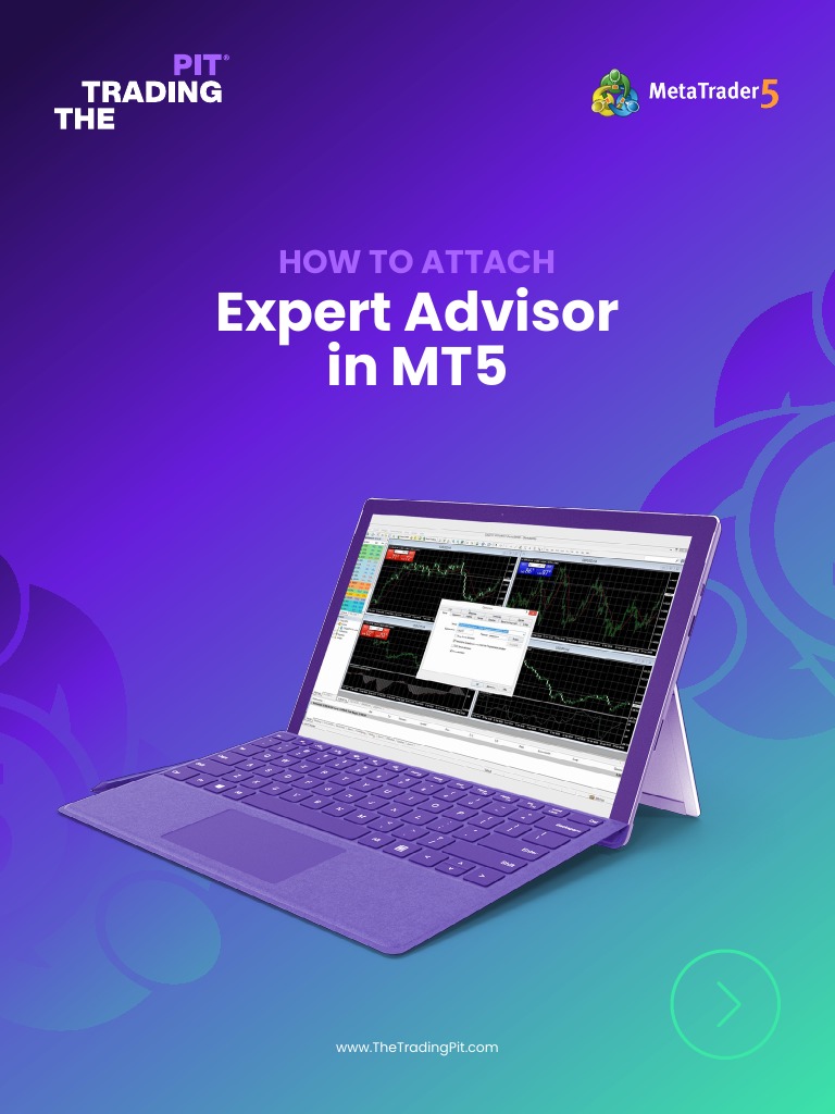 Attach Expert Advisor in MT5 Guide | PDF | Computer File | Parameter (Computer Programming)