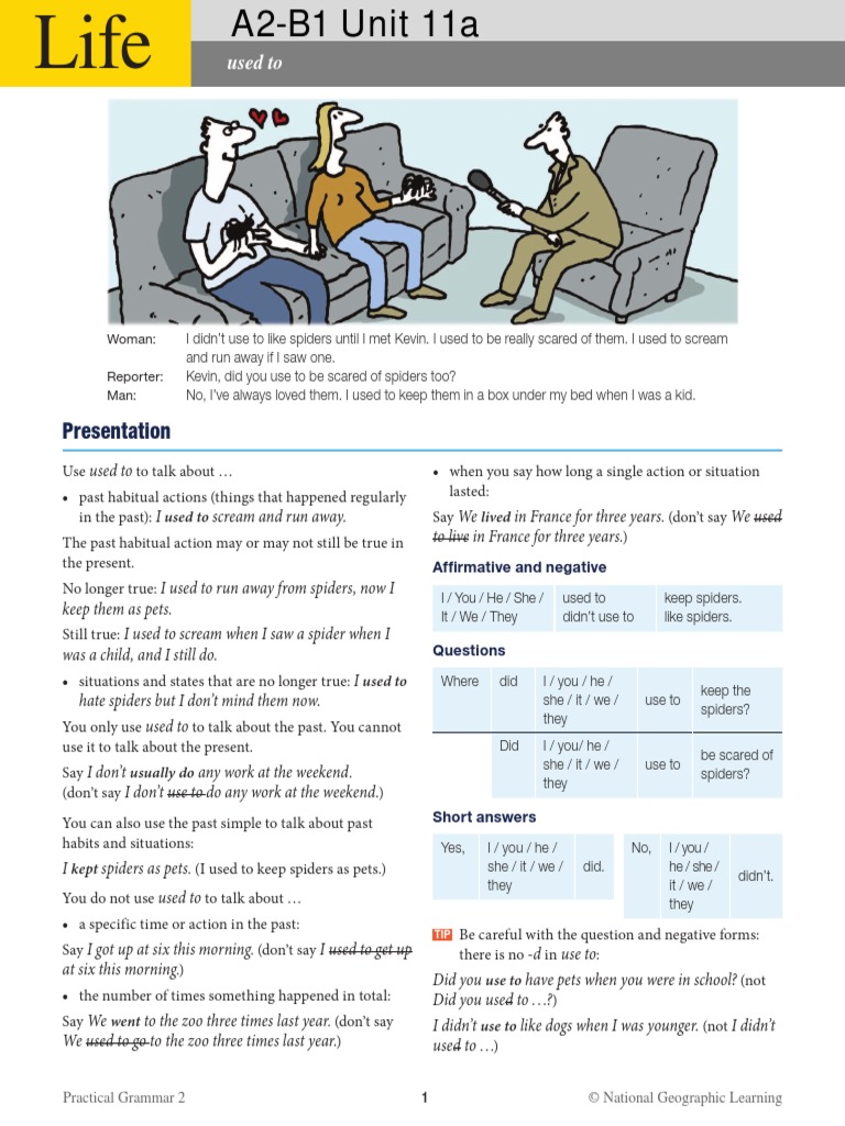 A2B1 Unit 11a | PDF | Pet