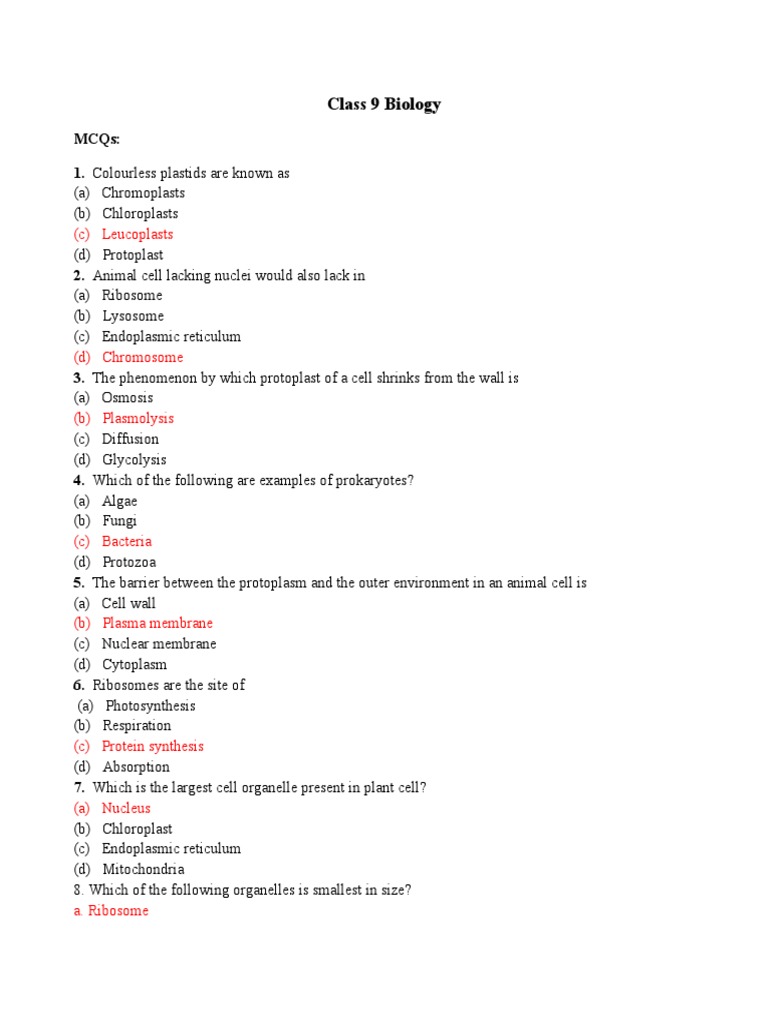 Class 9 Biology | PDF | Tissue (Biology) | Osmosis