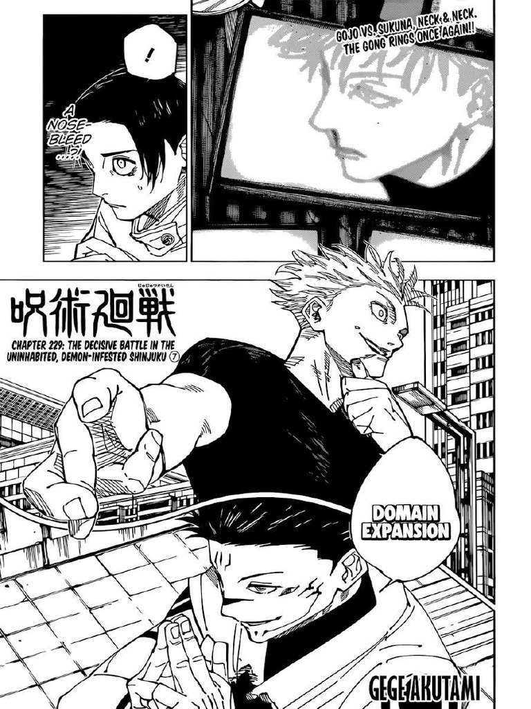 Jujutsu Kaisen - Chapter 229 The Decisive Bat | PDF