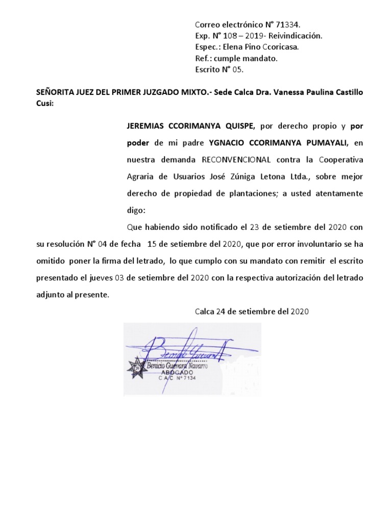 Subsana Firma | PDF | Justicia | Crimen y violencia