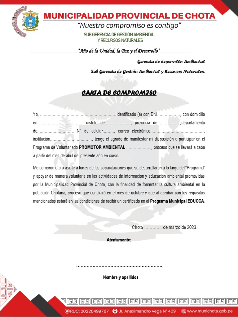 Carta de Compromiso | PDF