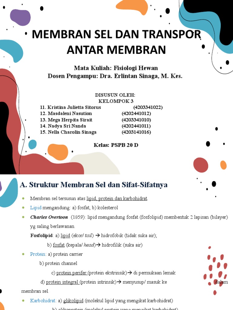 Membran Sel Dan Transport Antar Membran-Kelompok 3 PSPB20D Rev | PDF