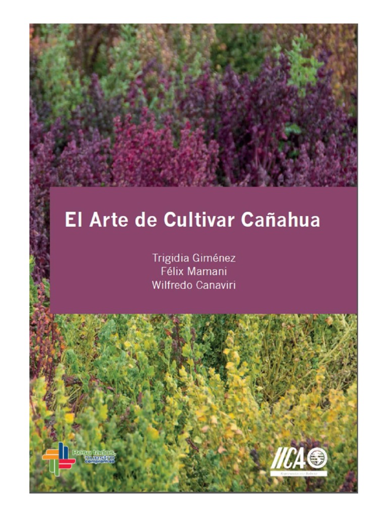 Cultivo Efectivo de Cañahua | PDF | Siembra | Agricultura