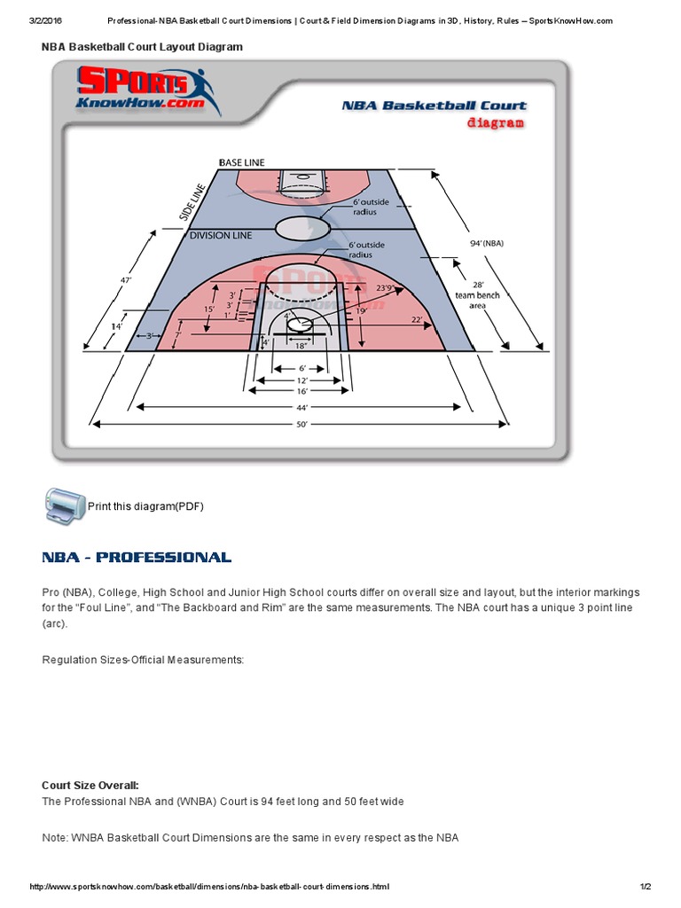 Basketball NBA | PDF | Athletic Sports | Sports