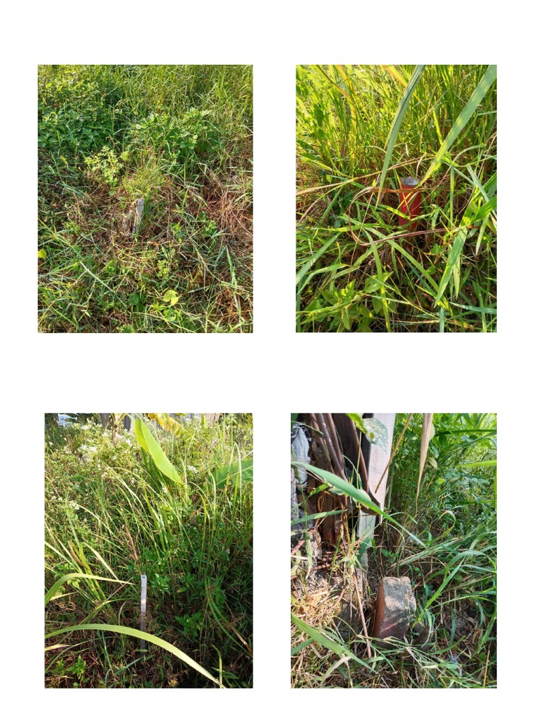 Contoh Gambar Batas Patok Ukur Tanah | PDF