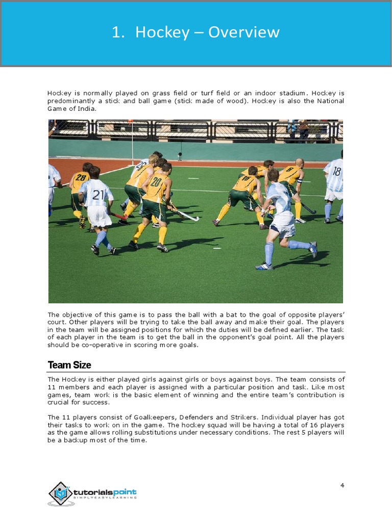 Hockey Basics and Team Structure | PDF