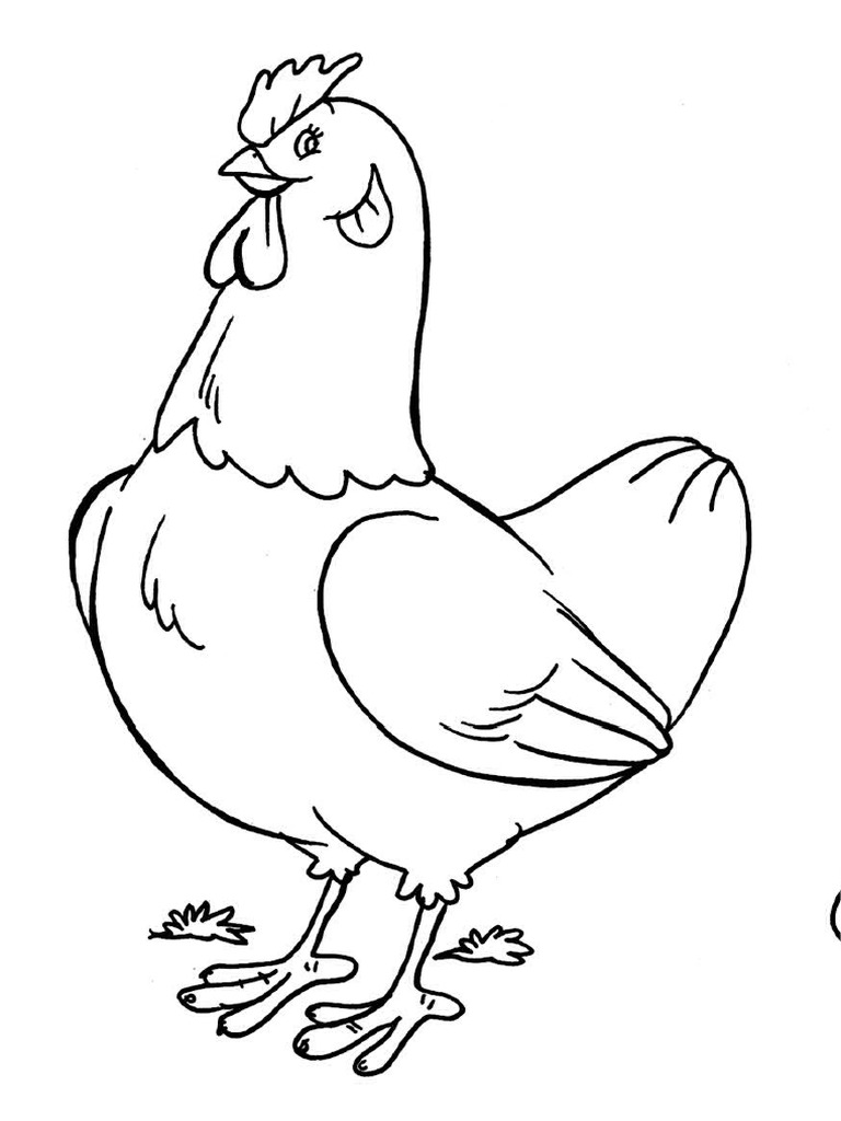 Gallina | PDF