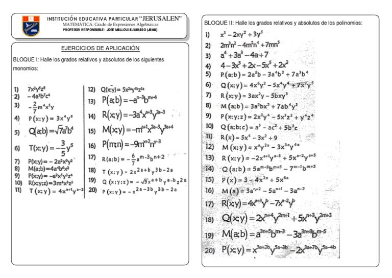 07 Grado de Exp. Alg | PDF