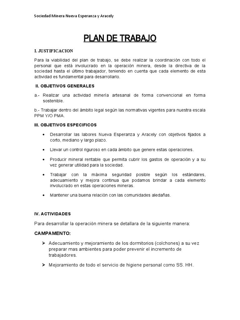PLAN de Trabajo | PDF | Minería | Economias
