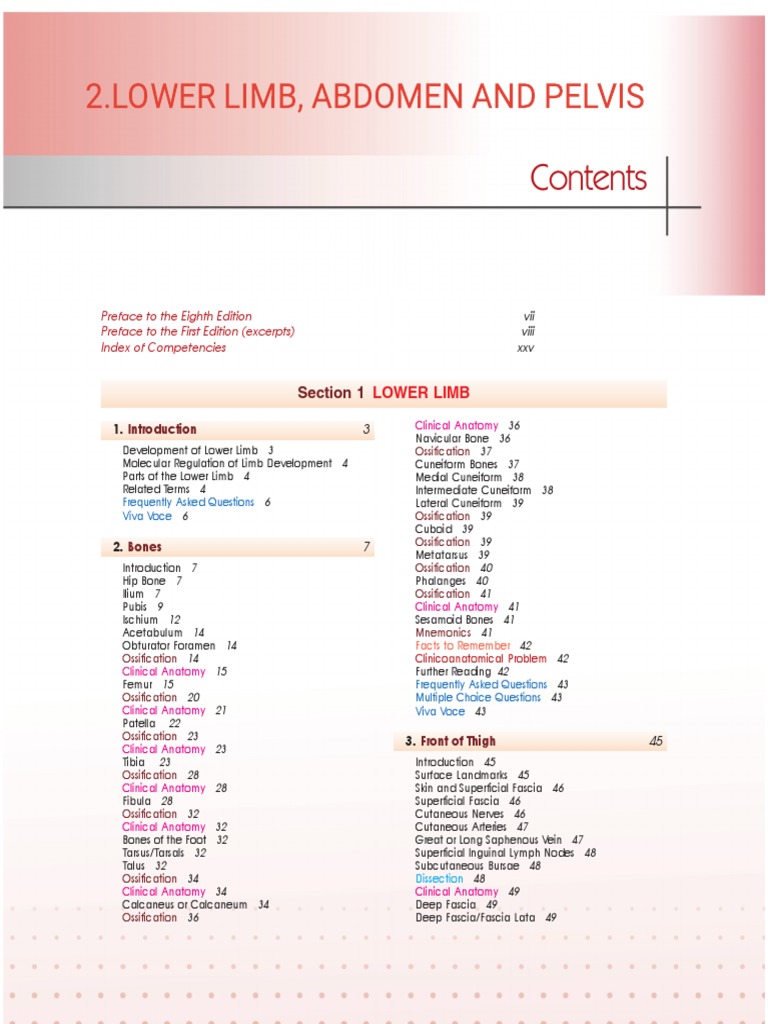2.lower Limb, Abdomen and Pelvis: Section 1 | PDF | Human Leg | Prostate