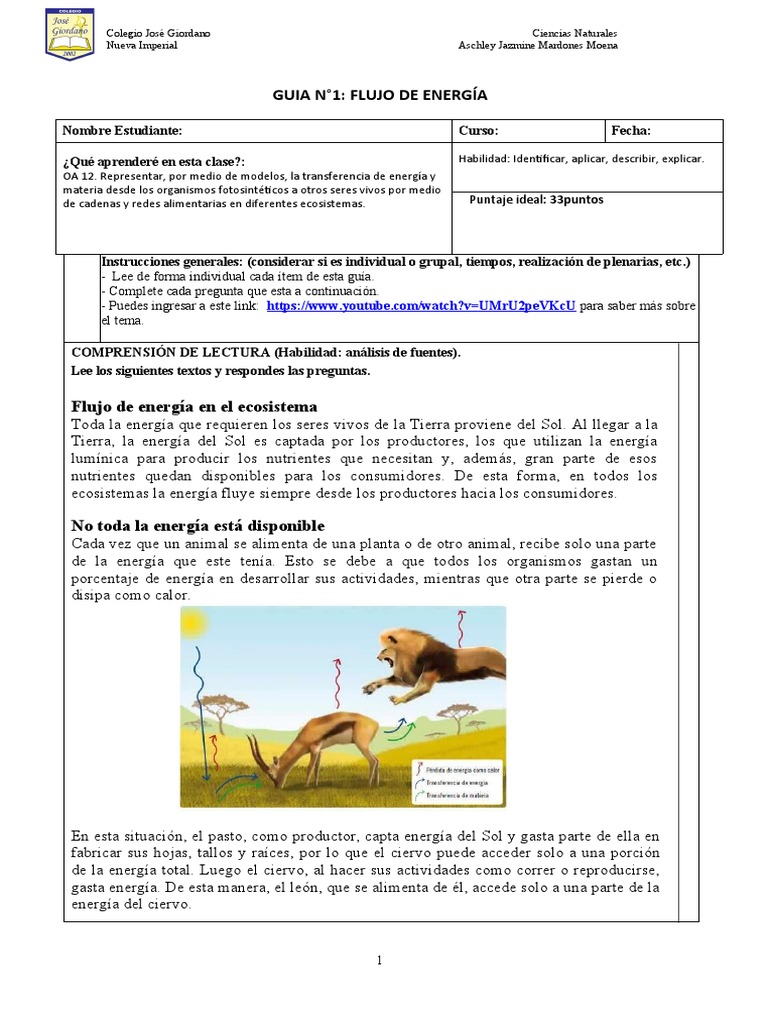 Guía 1 de Flujo de Energía Sexto | PDF | Red alimentaria | Ciencia ...