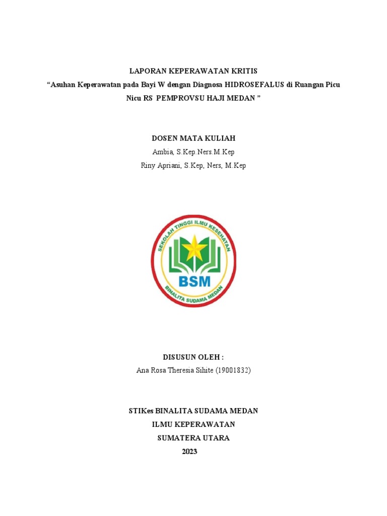 Laporan Kritis Fix Ocha | PDF | Pengembangan Diri | Kesehatan Holistik