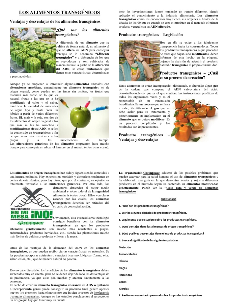 ficha LOS ALIMENTOS TRANSGÉNICOS | PDF | Organismo genéticamente ...