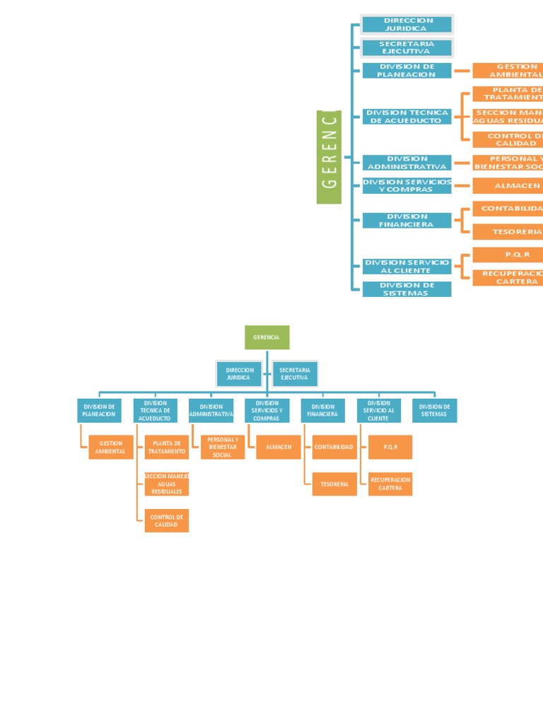 ORGANIGRAMA | PDF | Economias | Business