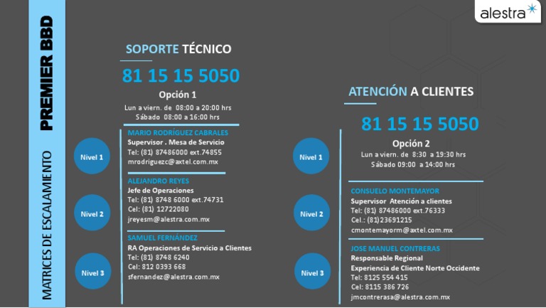 Matriz de Escalamiento PREMIERBBD | PDF