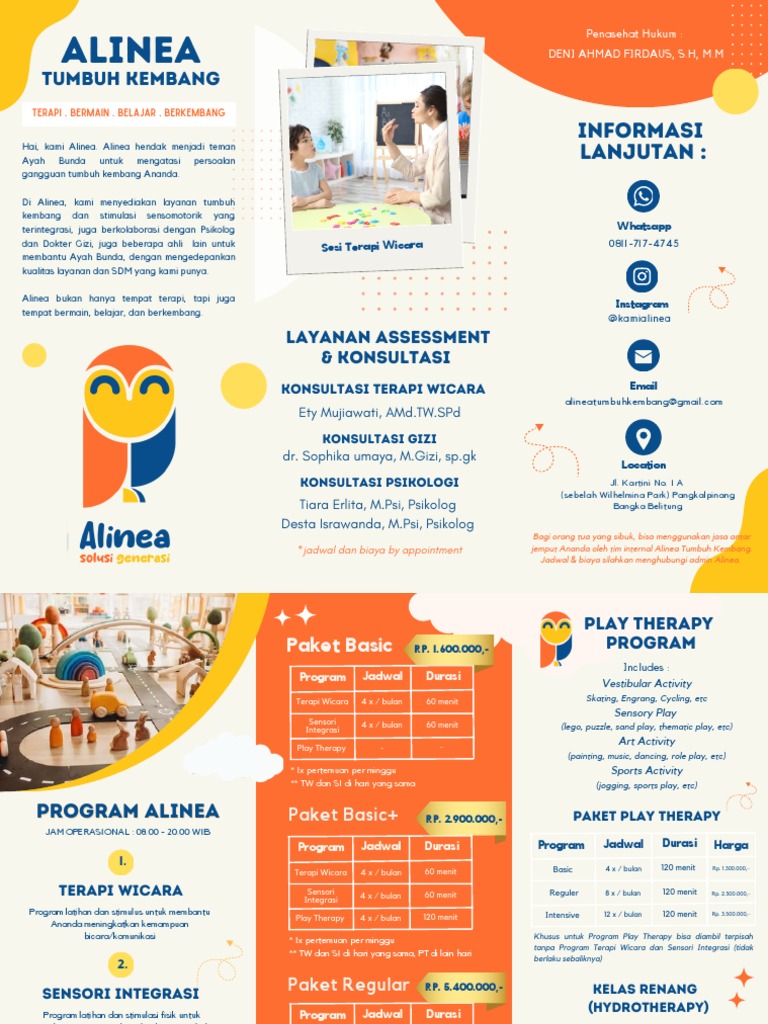 Brosur Layanan ALINEA New | PDF