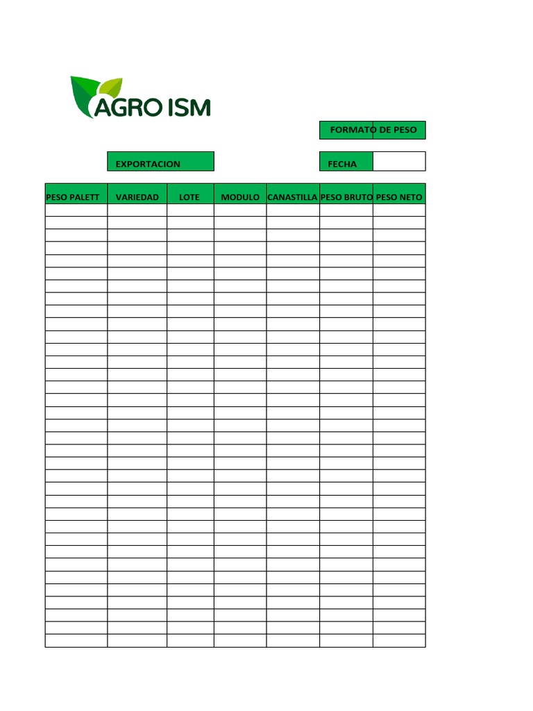 Formato de Peso Packing | PDF