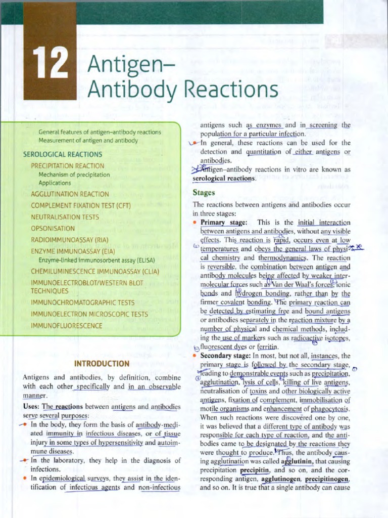Antigen-Antibody Reactions | PDF | Complement System | Antibody