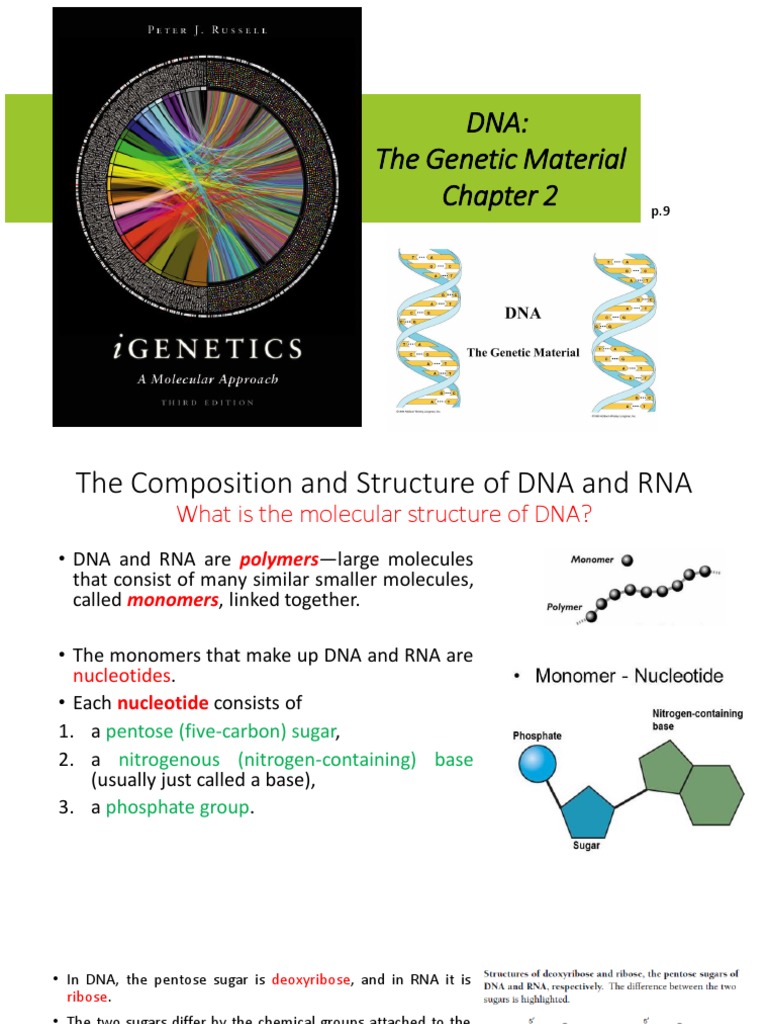 Chapter 2- DNA-The Genetic Material PDF | PDF | Dna | Nucleic Acid ...