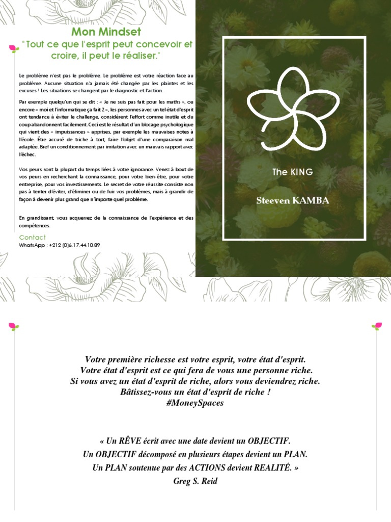 Comprendre le Mindset pour Réussir | PDF | Investir | Investisseurs