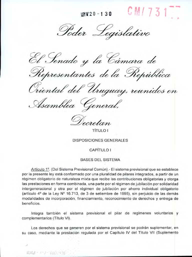 Sistema Previsional Común: Disposiciones y Principios | PDF ...