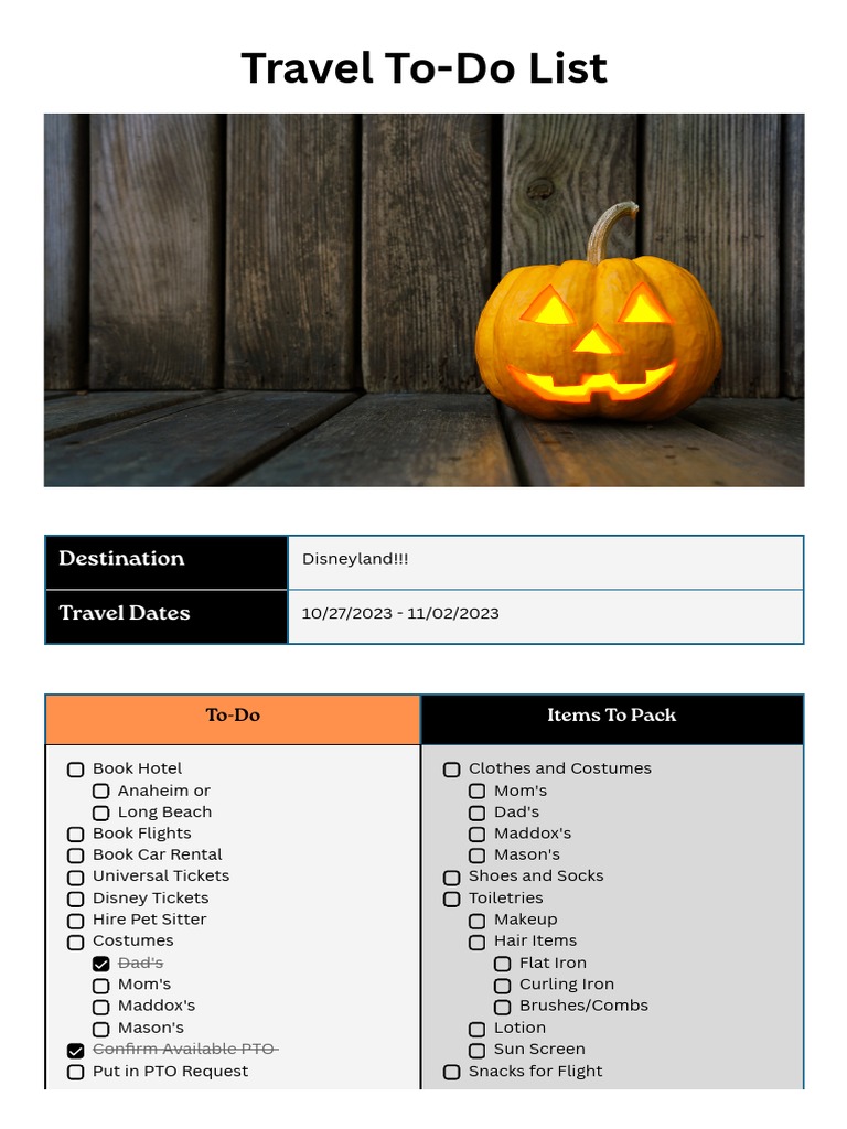 Essential Disneyland Travel Checklist | PDF