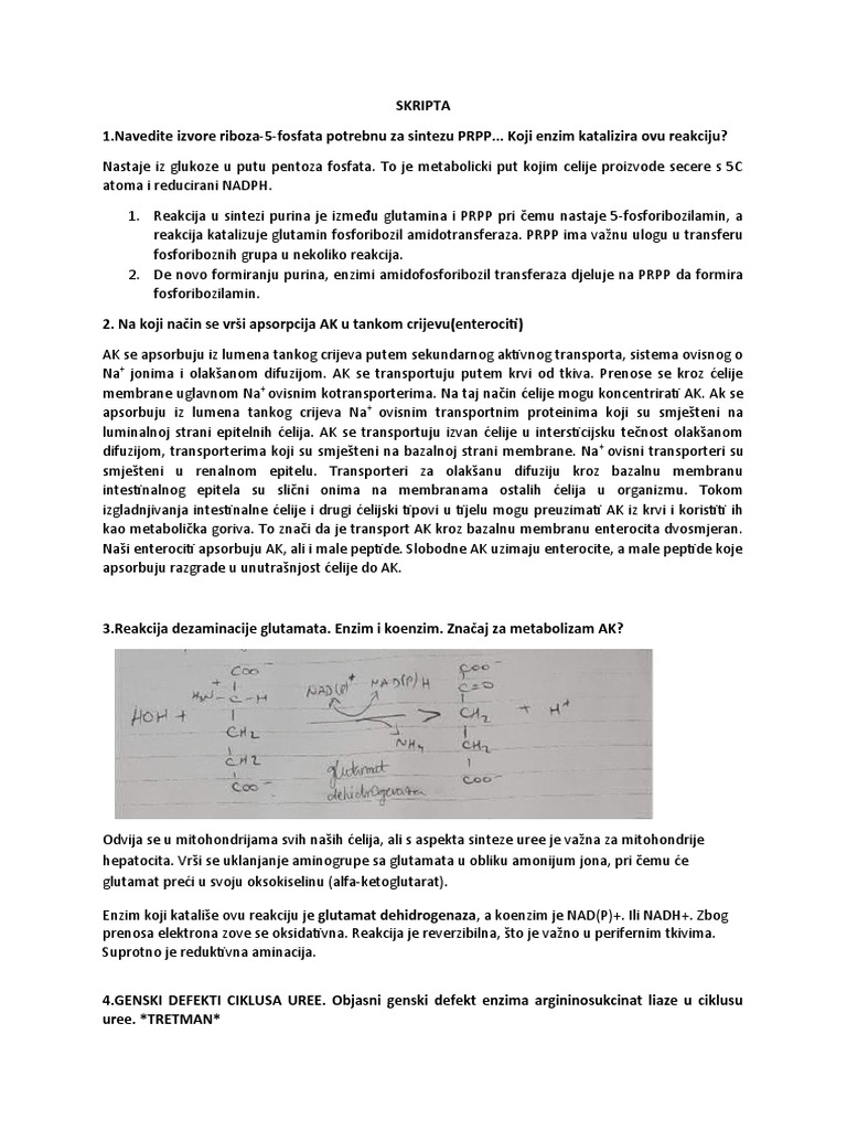 Biohem Skripta | PDF