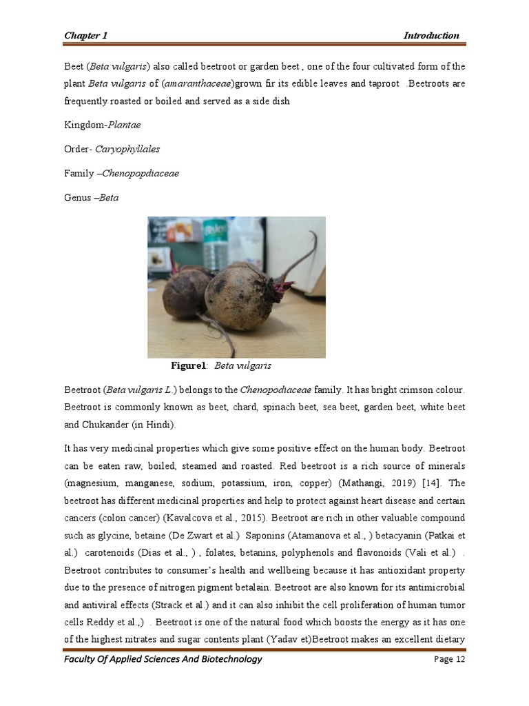 Chapter05 Chapter 1 | PDF | Beetroot | Vitamin
