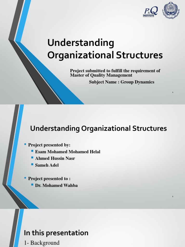 Understanding Organizational Structures by Esam Mohamed Mohamed Helal, Ahmed Hussin, Sameh Adel ...