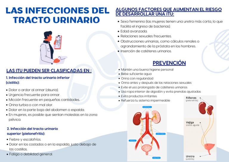 Las Infecciones Del Tracto Urinario | PDF