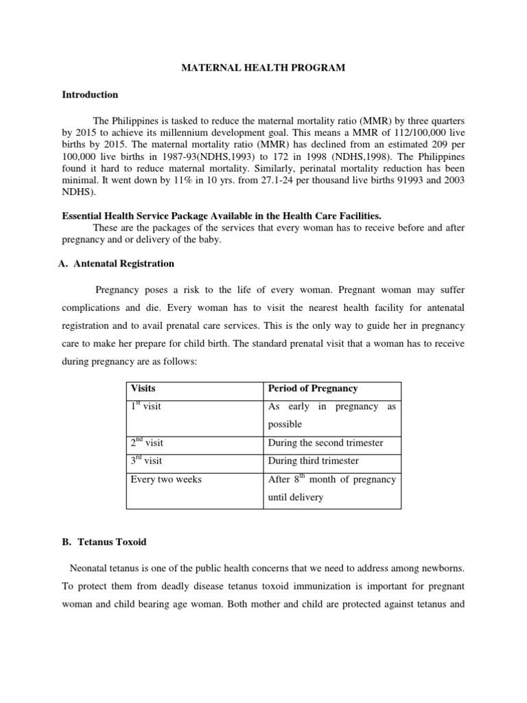 Maternal Health Program | PDF | Pregnancy | Childbirth