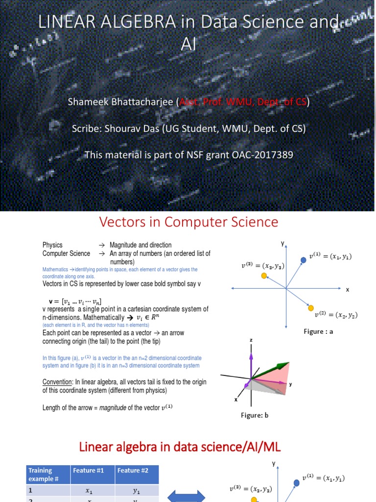 Linear Algebra Primer Concepts | PDF | Eigenvalues And Eigenvectors | Matrix (Mathematics)