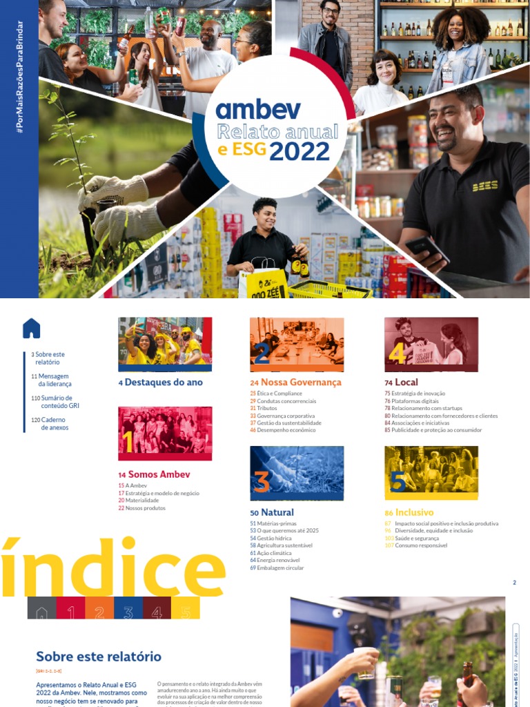 Ambev | PDF | Brasil
