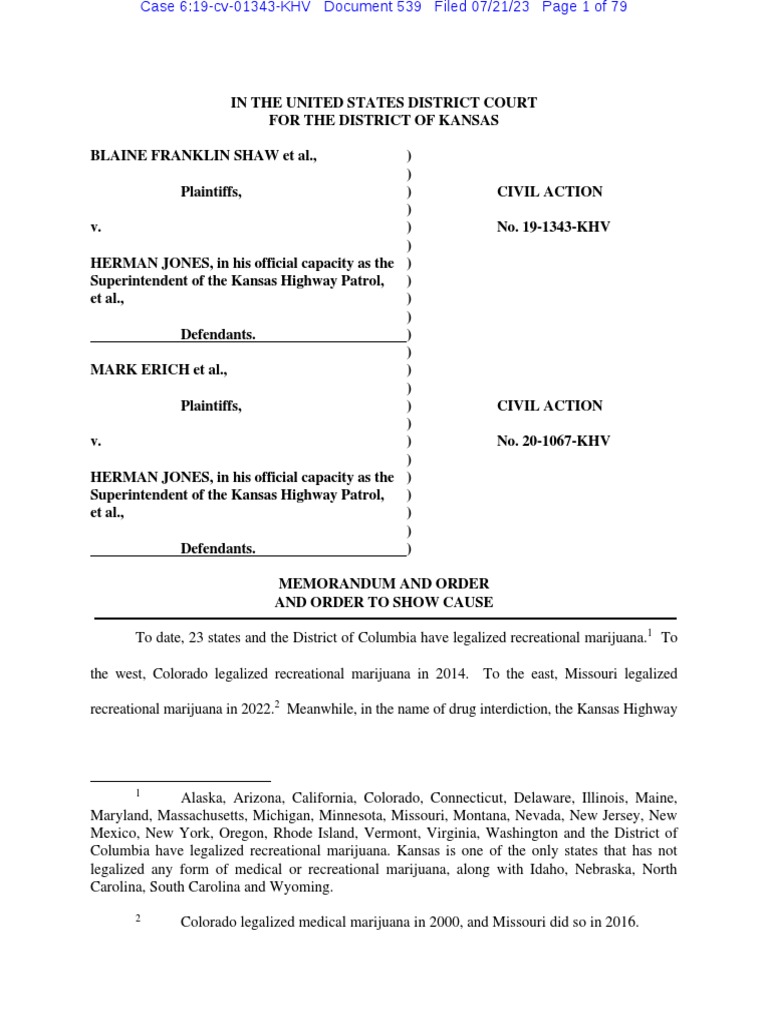 Memorandum and Order To Show Cause | PDF | Reasonable Suspicion ...