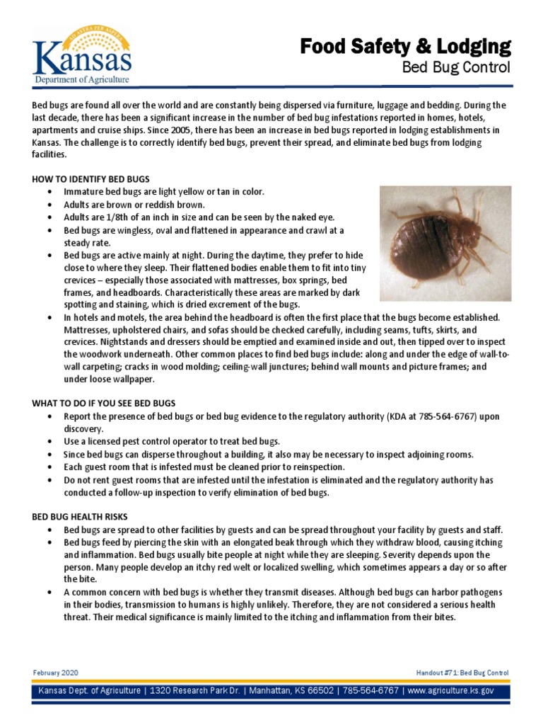 71 Bed Bug Information HL | PDF | Bed | Diseases And Disorders