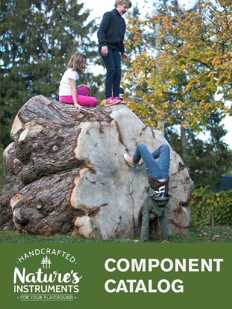 Nature's Instruments Playground Solutions | PDF | Somatosensory System ...