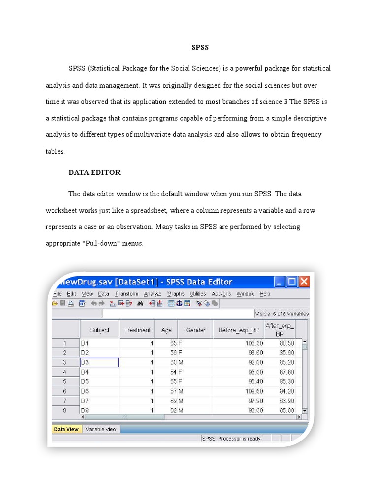 SPSS SPSS | PDF | Spss | Computing