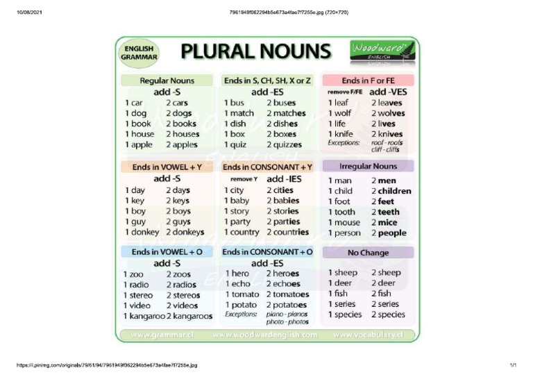Plural Nouns - Chart | PDF