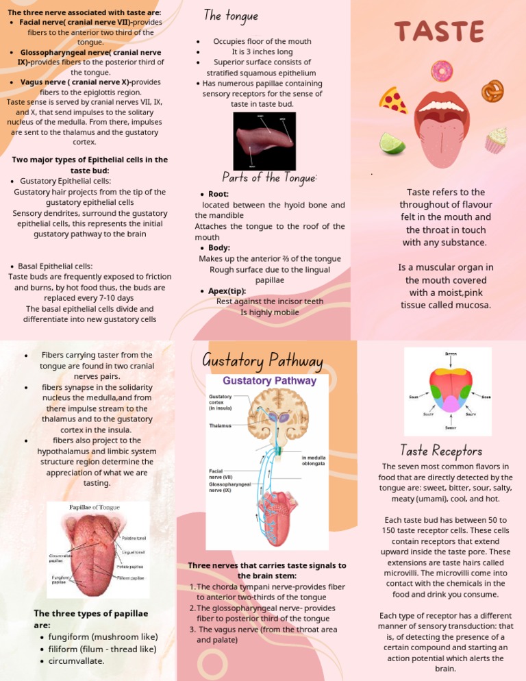 Tongue Taste Description Coffee | Thebloom
