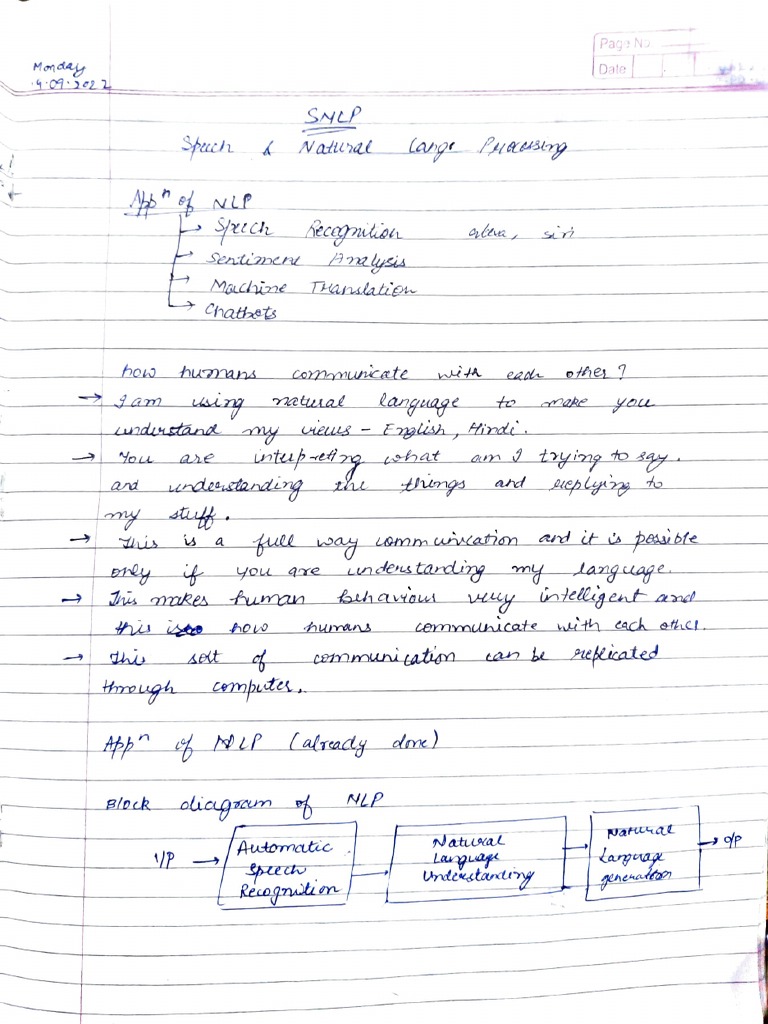 SNLP Notes (Priyanka) | PDF