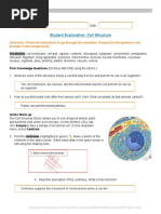 Cell Organelle Cut & Paste Activity | PDF | Organelle | Cell (Biology)